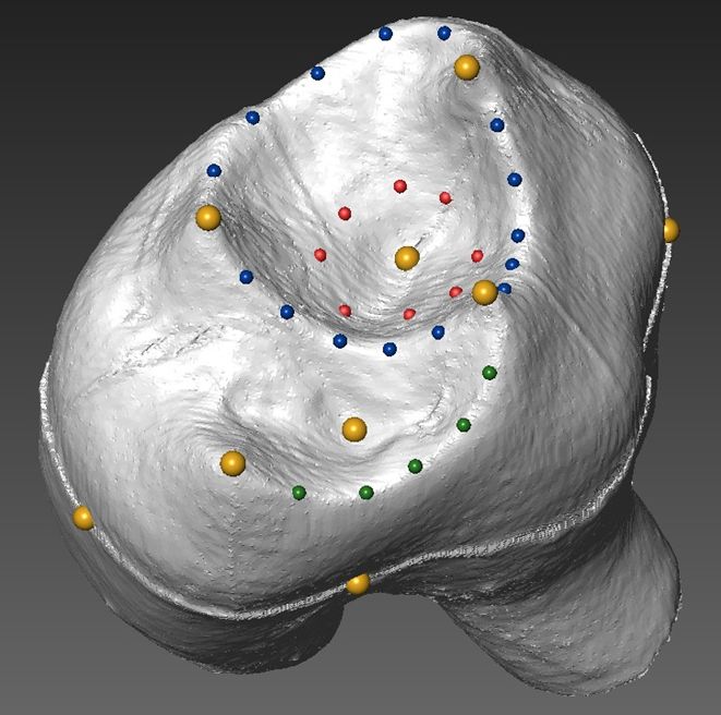Manuals – Test Data – Source Code – Evan Society